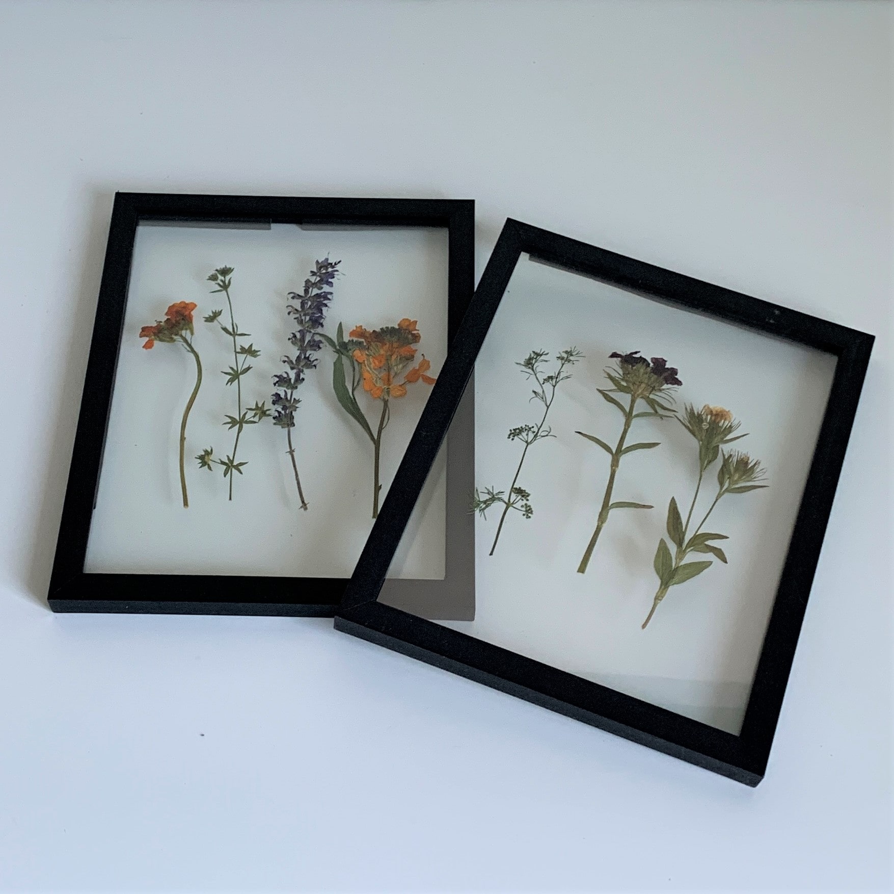 DIY Framed Dried Flowers - Ivy&Iron